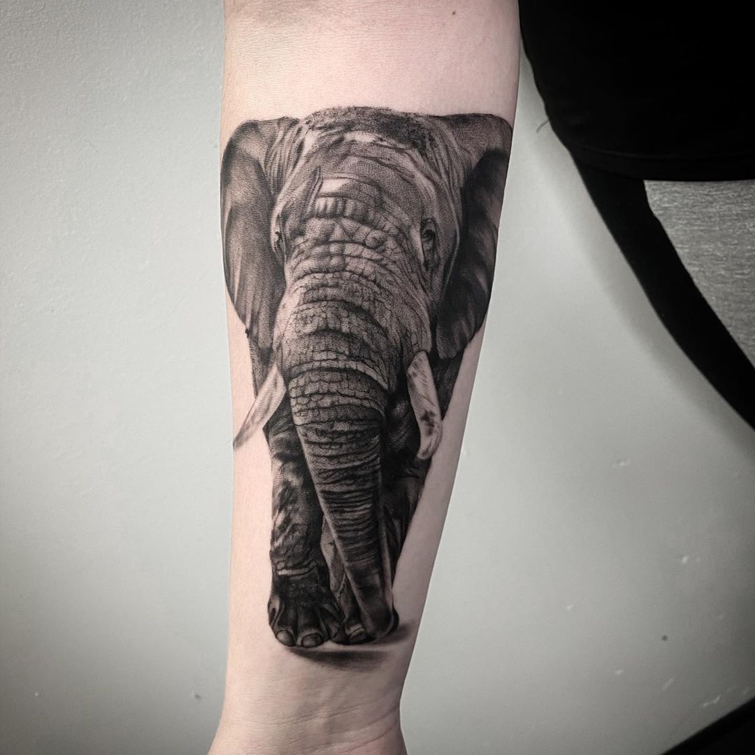 Simbolismo e Significado das Tatuagens de Elefante - Tatuagem Arte